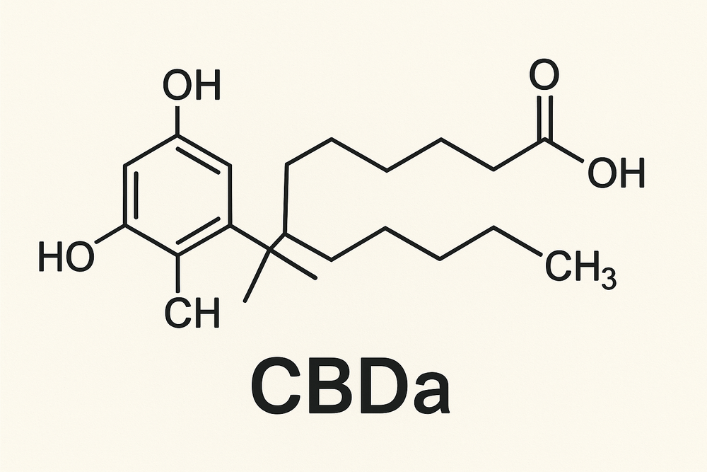 What is CBDa (Cannabidiolic Acid)? | Nova Hemp
